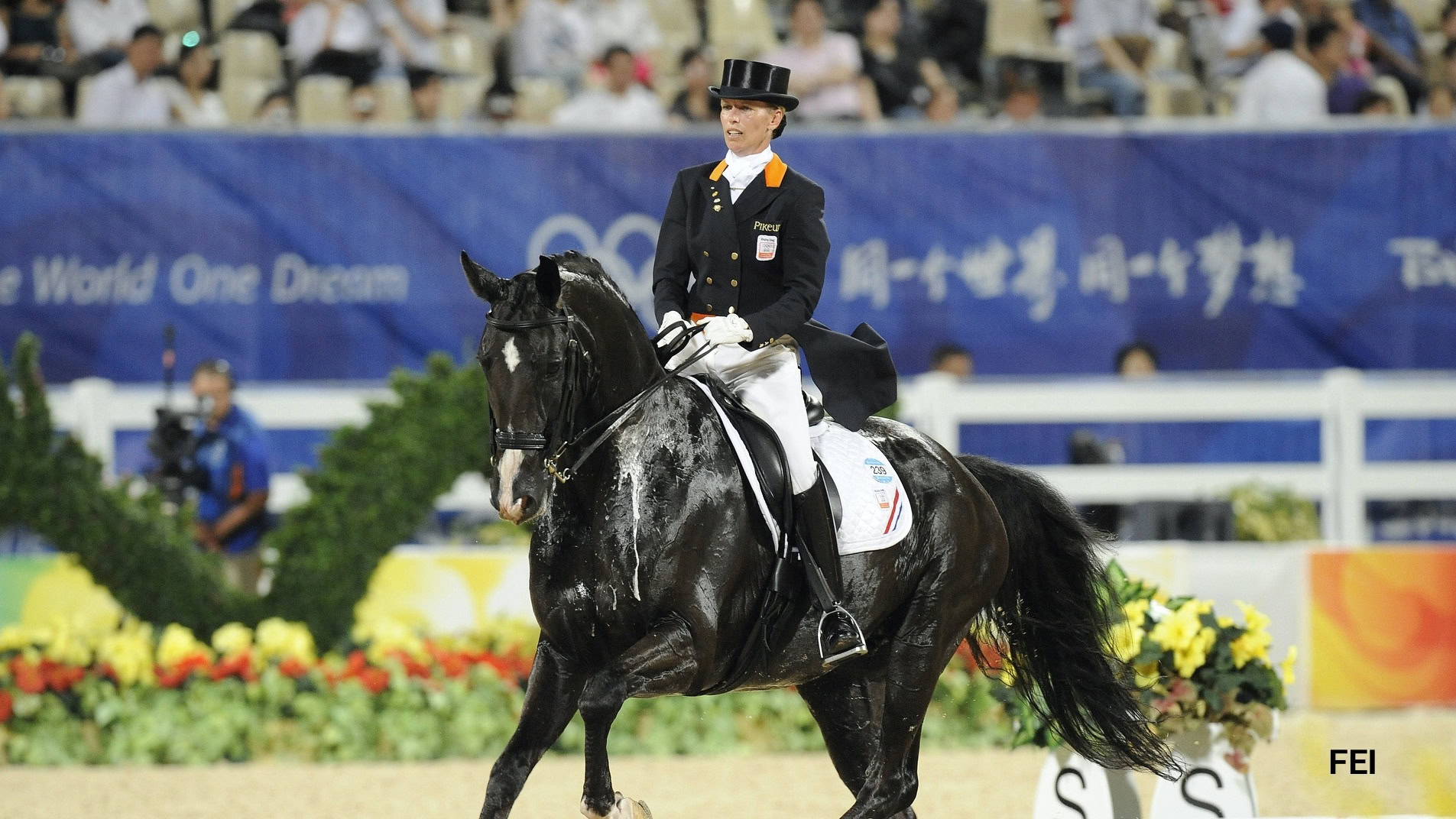 Anky van Grunsven breekt bekken na val van paard - Stegen.net