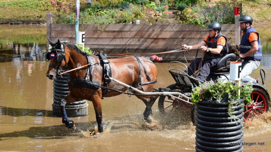 Harry Streutker uit Coevorden uitgeschakeld op EK mennen Exloo - Stegen.net