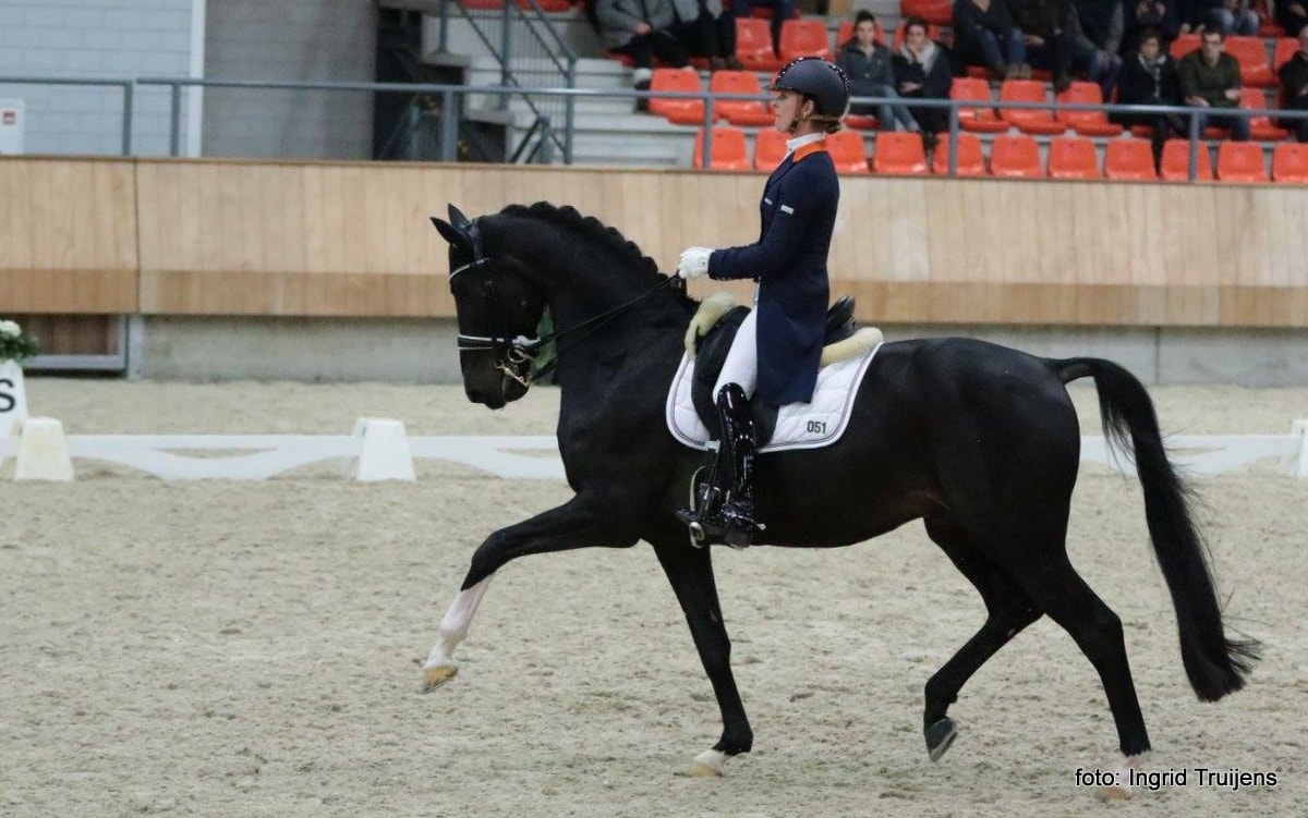 Adelinde Cornelissen niet te kloppen bij Subtop Tolbert - Stegen.net