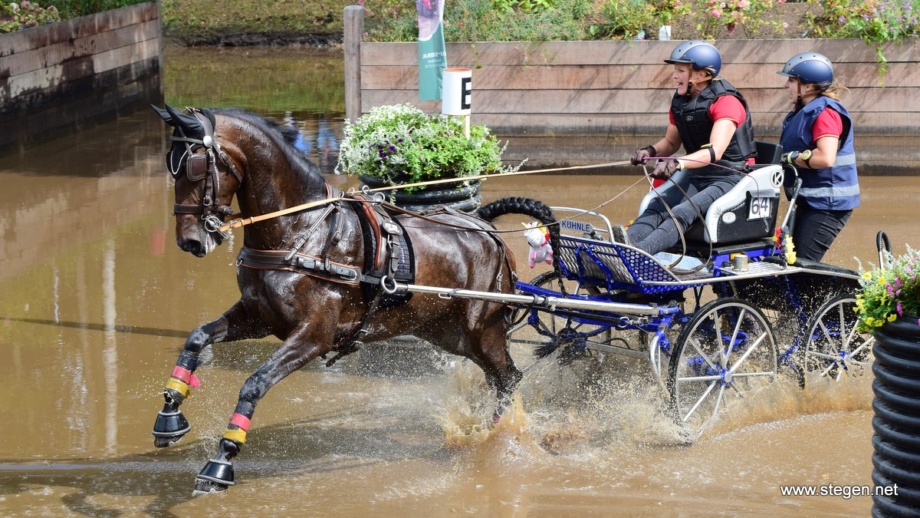 Harry Streutker uit Coevorden uitgeschakeld op EK mennen Exloo - Stegen.net
