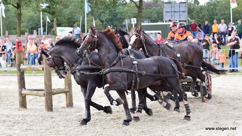 Harry Streutker uit Coevorden uitgeschakeld op EK mennen Exloo - Stegen.net