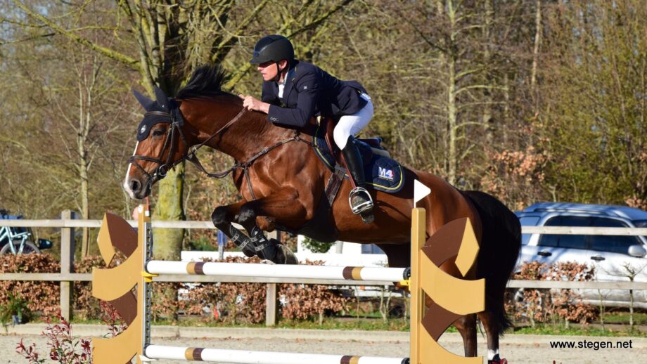 Eric ten Cate klopt Daan van Geel bij finale Spring Equestrian Festival ...