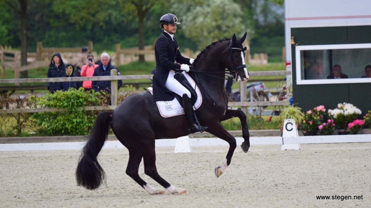 Glock trekt zich terug uit Neder­land, paarden ver­kassen naar Oosten ...
