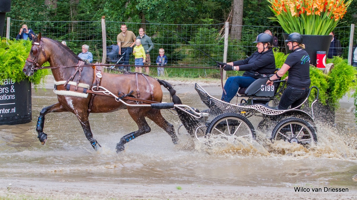 Mentitels voor Francisca den Elzen en Bram Chardon - Stegen.net