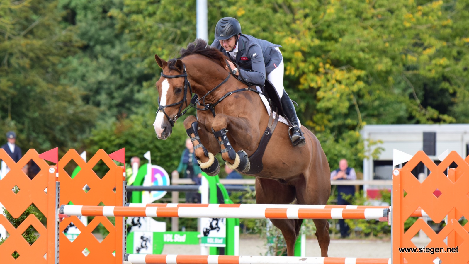 James Billington vertrekt bij de VDL Stud - Stegen.net