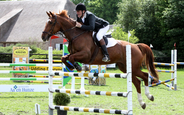 Springruiter Jan Dolfing terug in wedstrijdpiste - Stegen.net