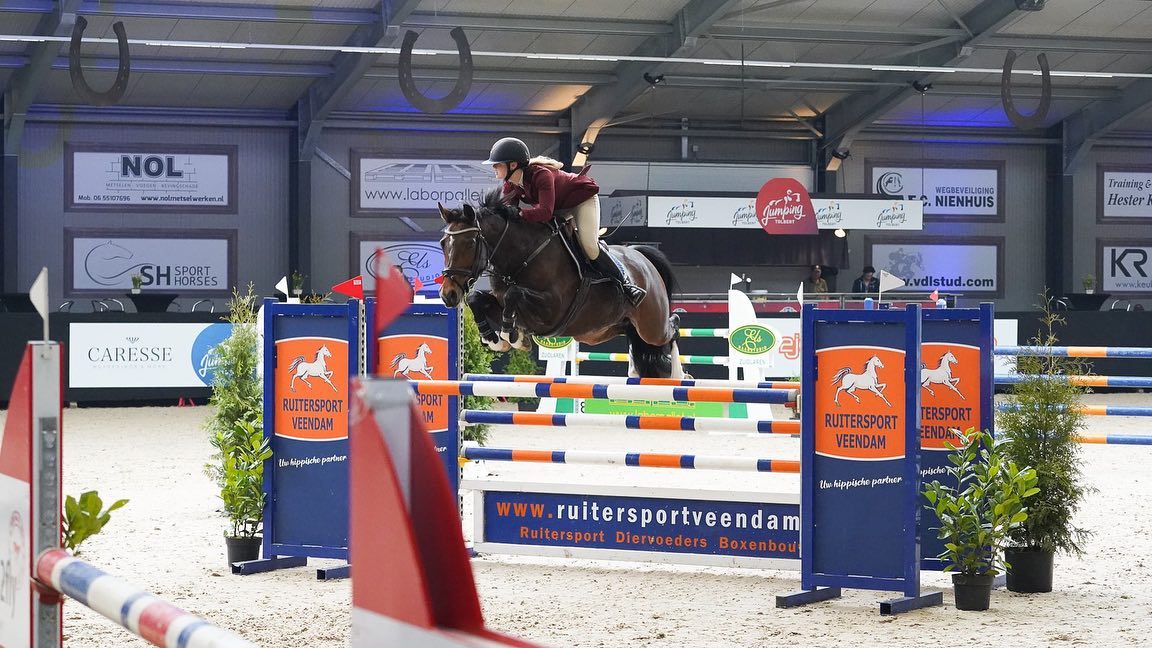 Lisa Hamminga de beste in finale Hippos Con­cours Appinge­dam - Stegen.net