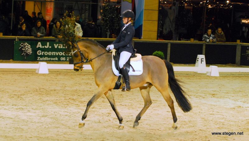 Finale pony's DCIG voor Lisa Hamminga en Jonker's Anigo - Stegen.net