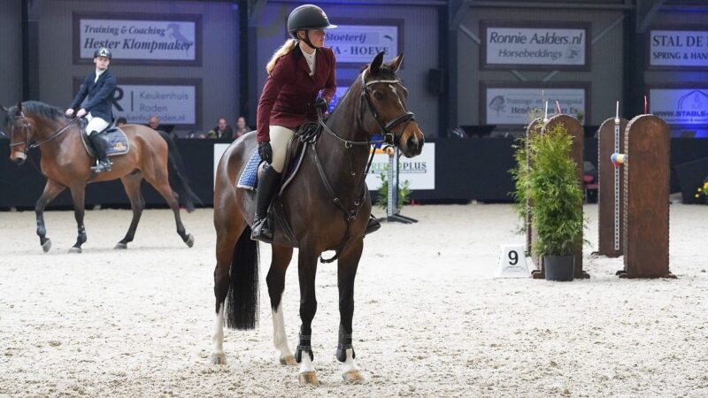 Lisa Hamminga de beste in finale Hippos Con­cours Appinge­dam - Stegen.net