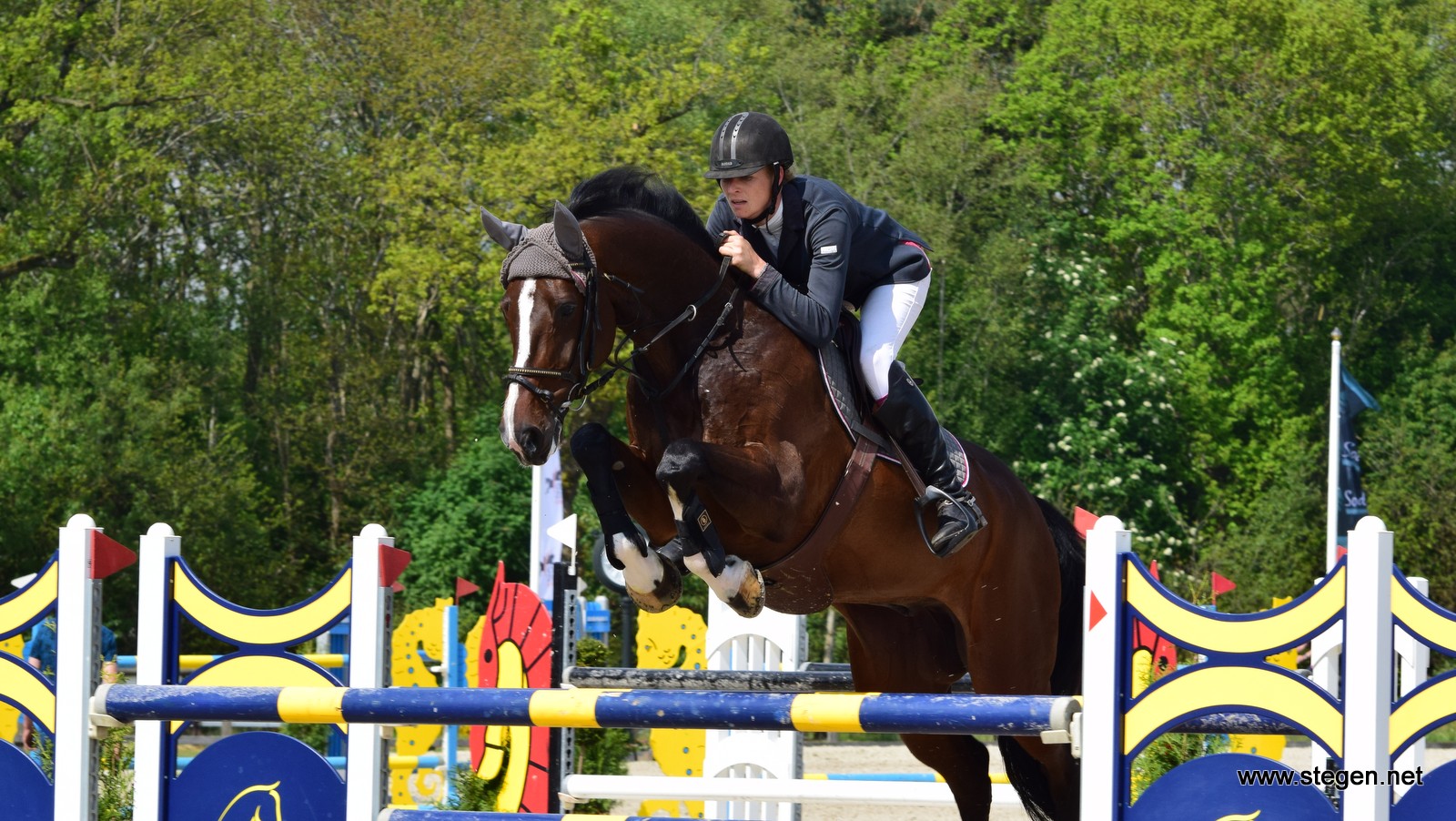 Marcelle Hokse pakt hoofdprijs Paard Balkbrug - Stegen.net