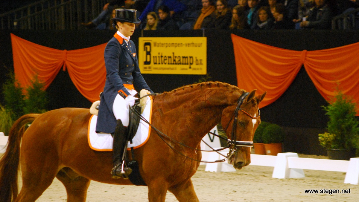 Dressuur­paard Radetzky van Marjan van der Jagt over­leden - Stegen.net