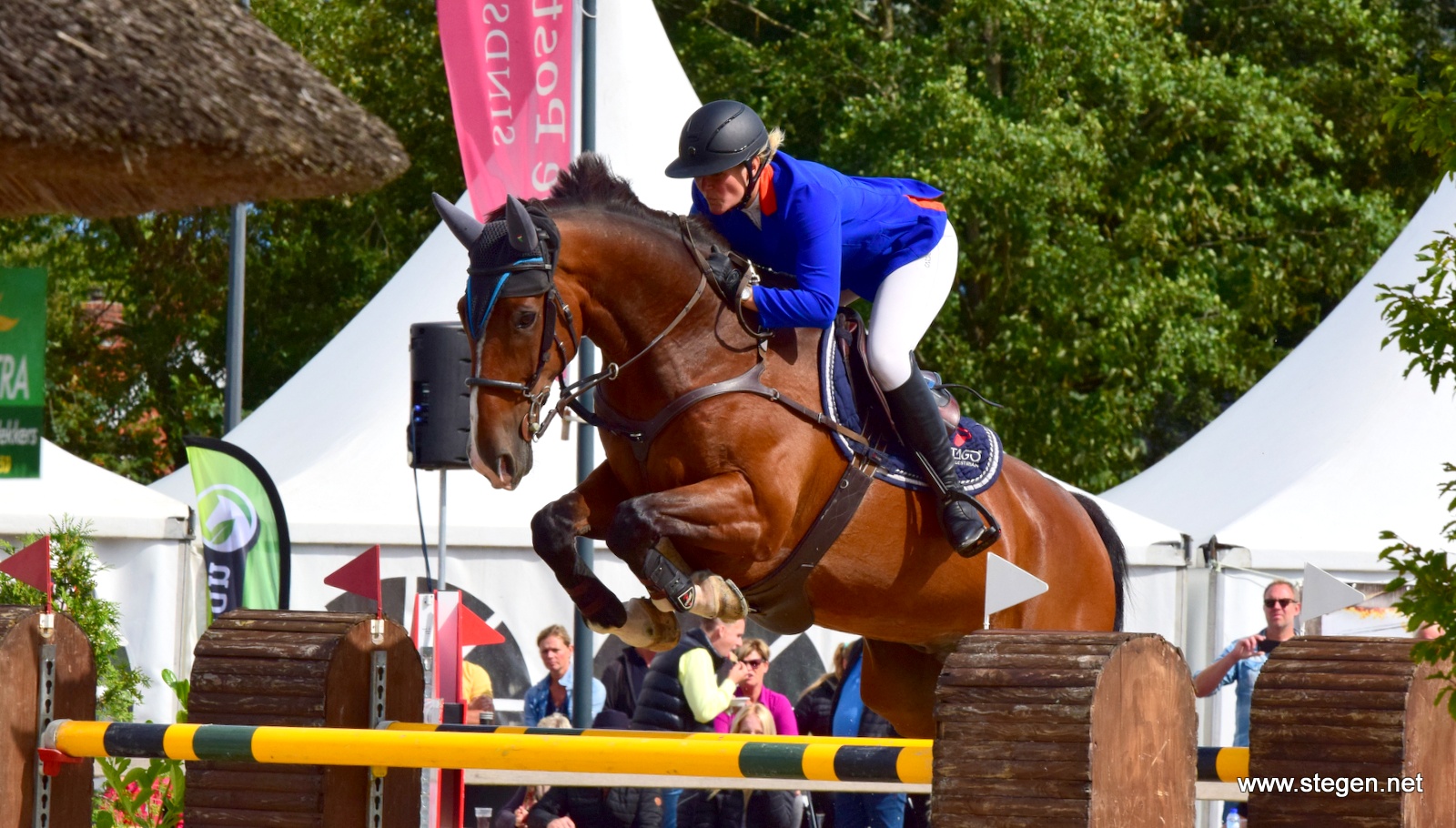 Marriët Smit-Hoekstra op herhaling in Grote Prijs Jumping Tolbert ...