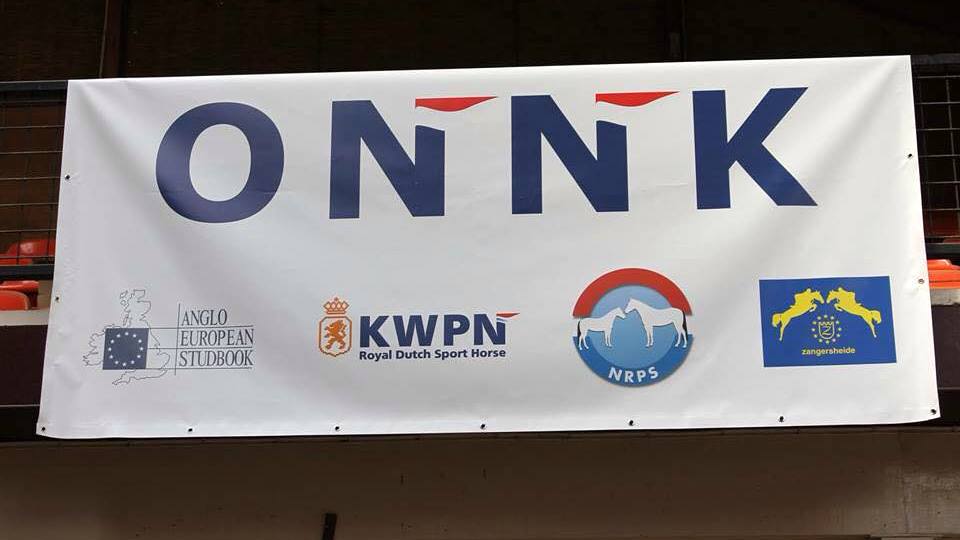 Sterke kampioenen bij finale ONNK 2015 in Tolbert - Stegen.net