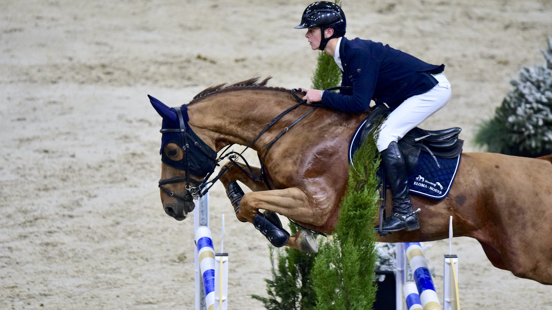 Gerben Morsink de beste in spannende 1.35-wedstrijd Indoor Groningen ...