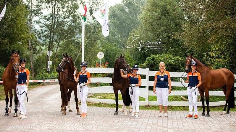 Goud voor Young Riders op EK dressuur - Stegen.net Goud voor Young Riders op EK dressuur - Stegen.net