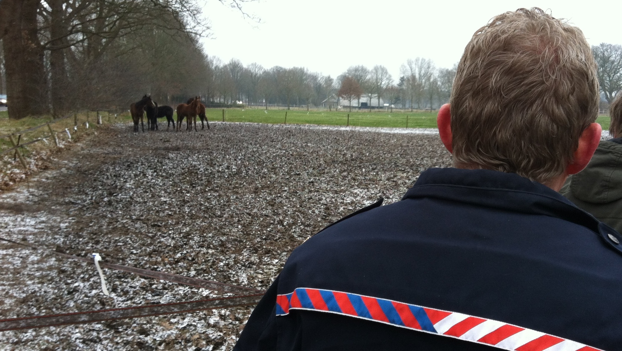 Animal Cops krijgen vooral loze meldingen - Stegen.net