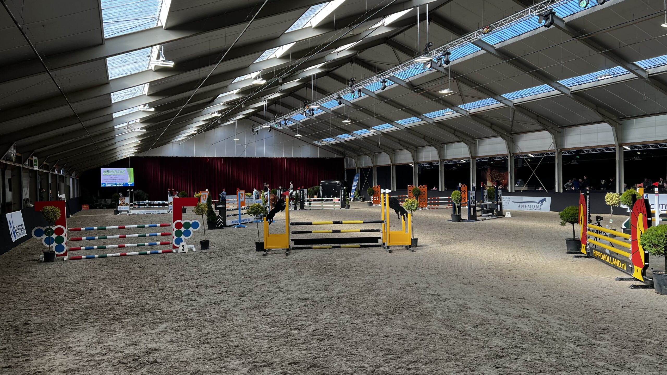 Paard Balkbrug 2025 - Stegen.net