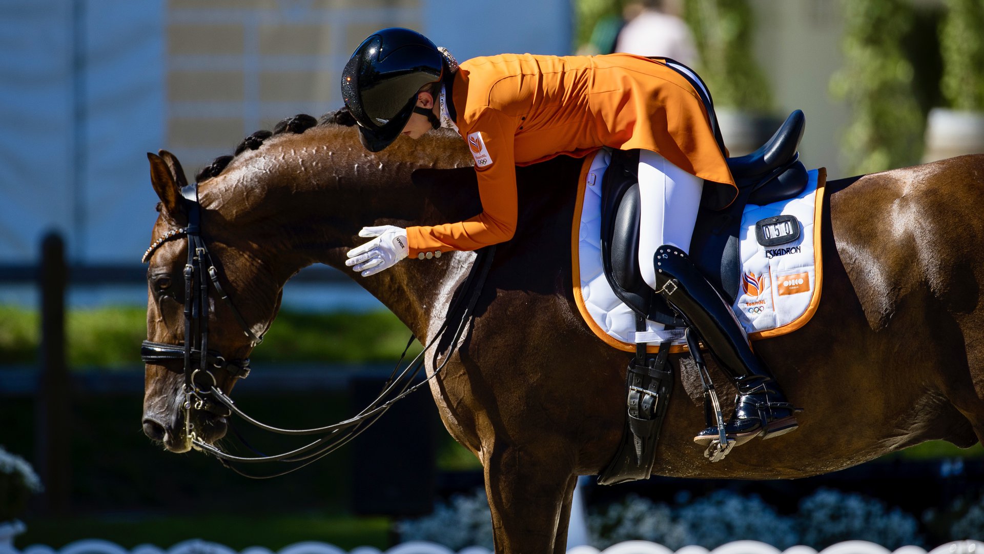Nederlandse dressuur­ruiters vijfde na eerste dag EK dressuur Riesen ...