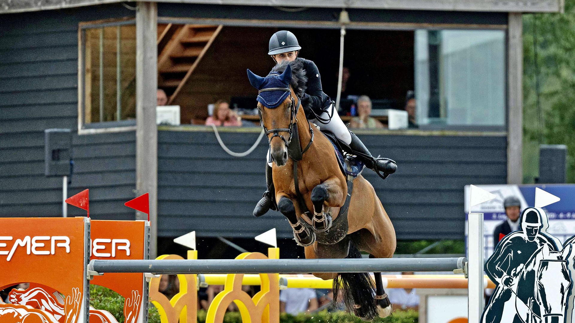 Michael Greeve knap tweede in Grote Prijs CSI Ommen - Stegen.net