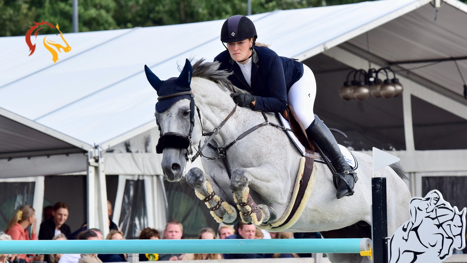 Lisa Broekert wint zware Grote Prijs Jumping Tolbert - Stegen.net
