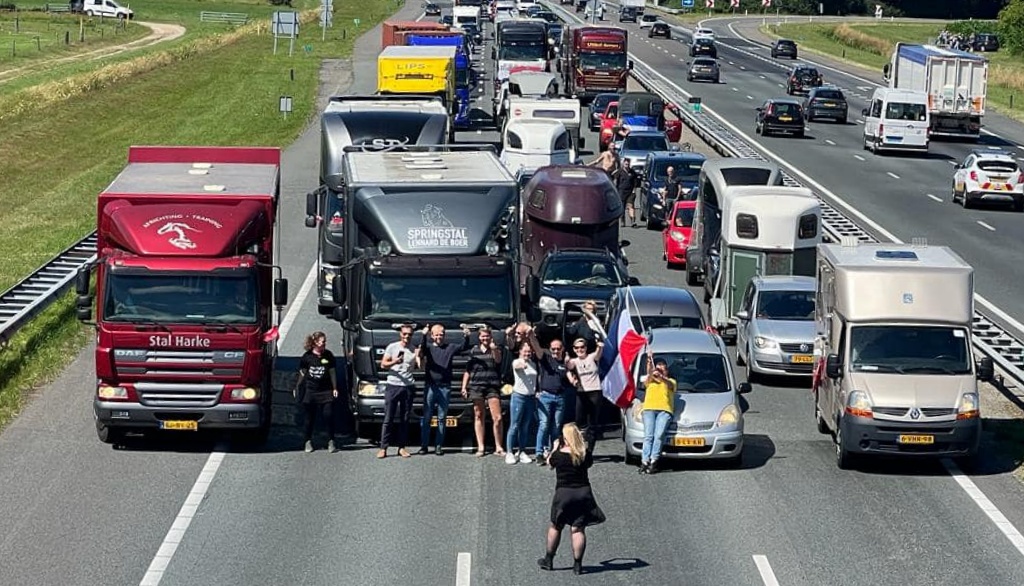 Paarden­bezitters sluiten aan bij boerenprotest stikstof - Stegen.net