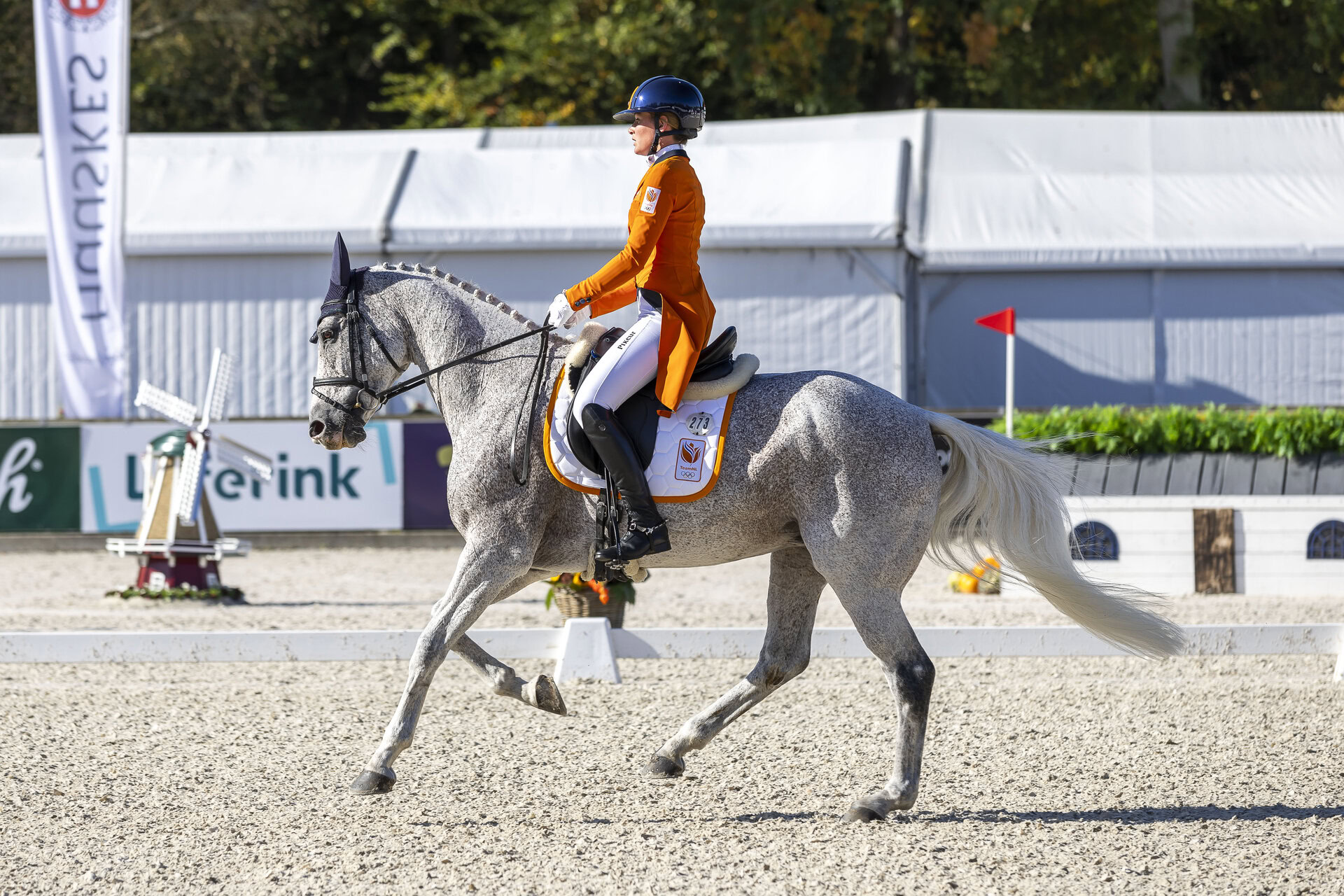 Laura Collet leidt op Military Boekelo, Sanne de Jong beste Neder ...