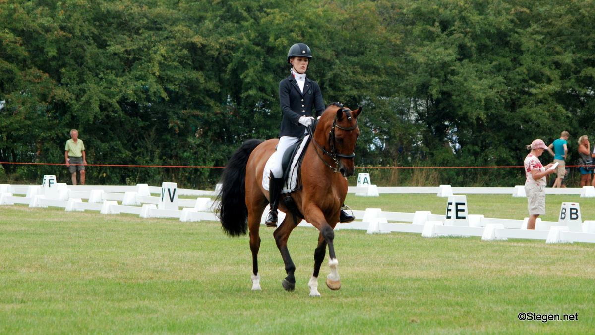 Marcel de Boer met Bonea Field ZZ-kampioen van Drenthe - Stegen.net